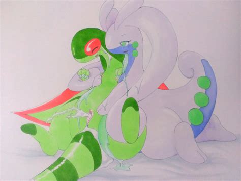 Rule 34 Breasts Dragon Female Flygon Goodra Nintendo Pokemon Pokemon