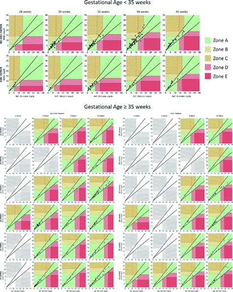 Bilirubin Error Grids Treatment Thresholds For Phototherapy And