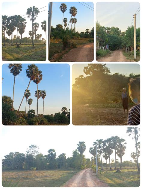 ขายด่วน ที่ดิน 2 ไร่ 70 ตรว ใกล้เขาใหญ่ ใกล้น้ำตก วิวเขา ที่สูงน้ำไม่ท่วม ต โพธิ์งาม อ ประจันต