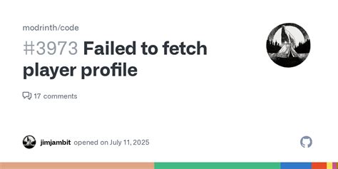 Failed To Fetch Player Profile · Issue 3973 · Modrinthcode · Github