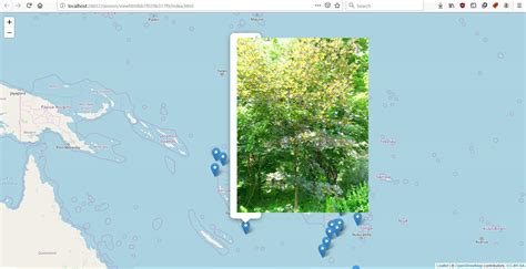 Link To Image In Popup R Leaflet Stack Overflow