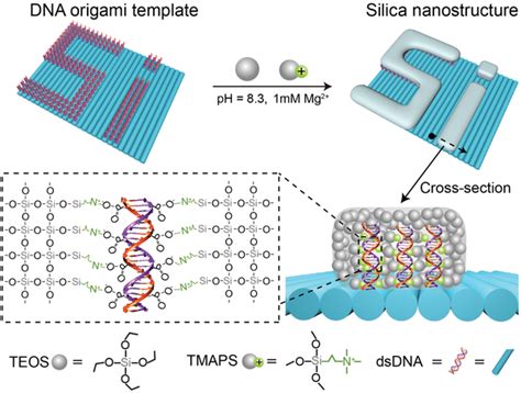 Schematic Illustration Of Site‐specific Synthesis Of Silica