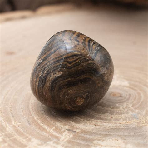 Stromatolite Canadas Rock Shop