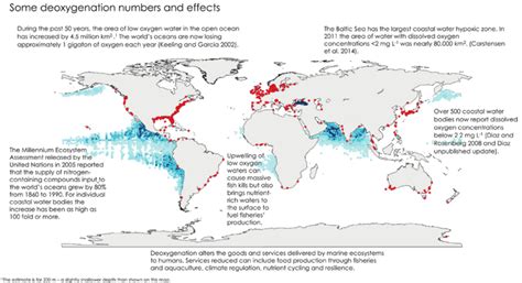 Eutrophication Wikipedia