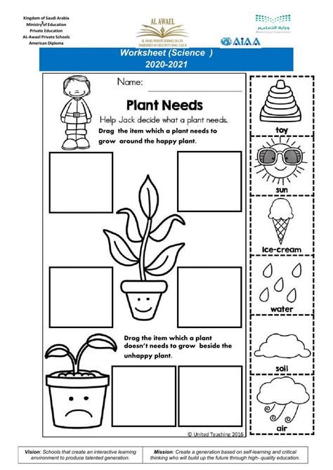 Plant Life Cycle Kindergarten Booklet Biology Twinkl Usa
