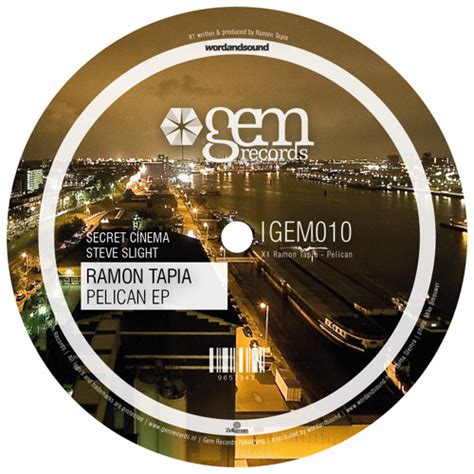 Stream Ramon Tapia Pelican Original Mix Gem By Ramon Tapia
