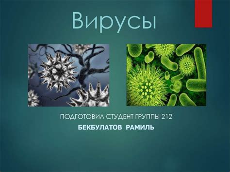 Вирусы и бактерии презентация онлайн