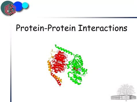 Ppt Protein Protein Interactions Powerpoint Presentation Free