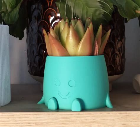 ¿qué Plantar En Macetas Pequeñas Macetitas