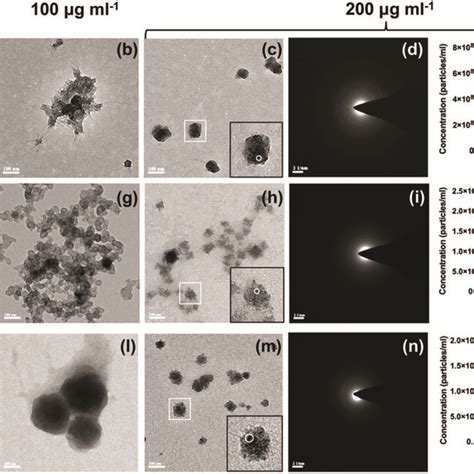 Tem Micrographs Saed Patterns And Nanoparticle Size Of Cmc Acp