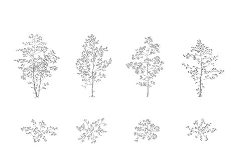 Deciduous Trees Dwg Cad Blocks In Plan And Elevation 30 Pieces Cadnature