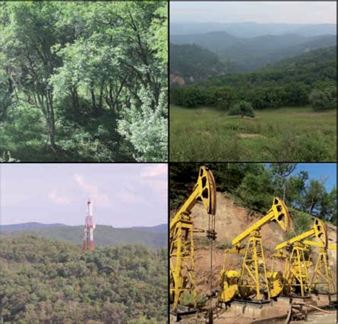 Figure 2 From Full Azimuth High Density 3d Point Sourcepoint Receiver Seismic Survey For