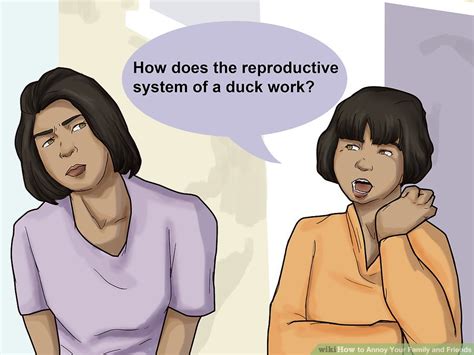 How To Learn About The Reproductive System Of A Duck Rdisneyvacation