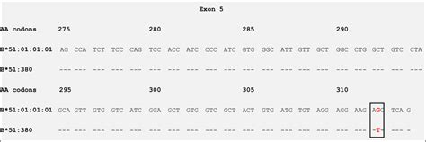 sequence alignment of hla‐b exon 5 between the novel b 51 380 allele