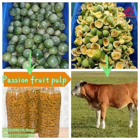 China Passion Fruit Pulp Digging Machine Manufacturers Suppliers
