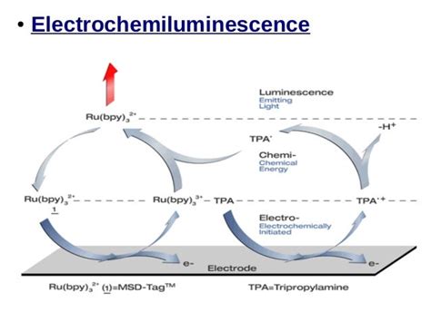 Chemiluminescence Assay
