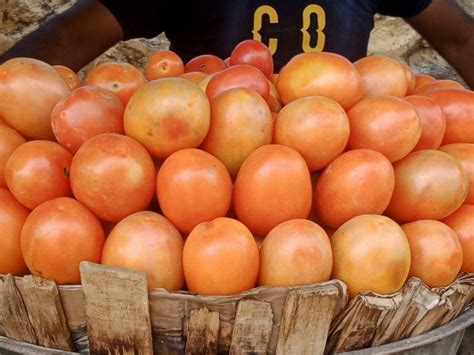 There Is No Relief In The Prices Of Tomatoes The Price Is Still On The