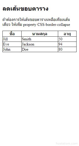 HTML Table Borders Hostatom