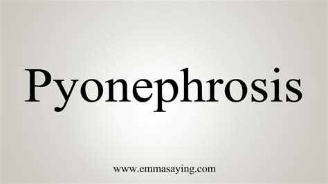 How To Say Pyonephrosis Youtube
