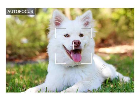 Raspberry Pi Camera Module 3 12mp Auto Focus Imx708 75° 120° Ir Noir