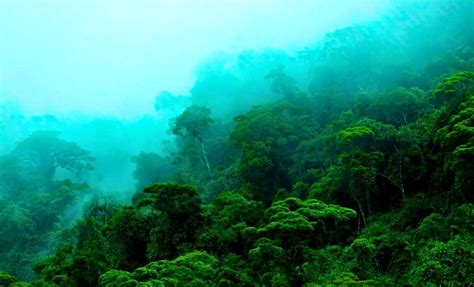 Nasas Juno Could Catch Mysterious Interstellar Comet In Daring 2026 Flyby