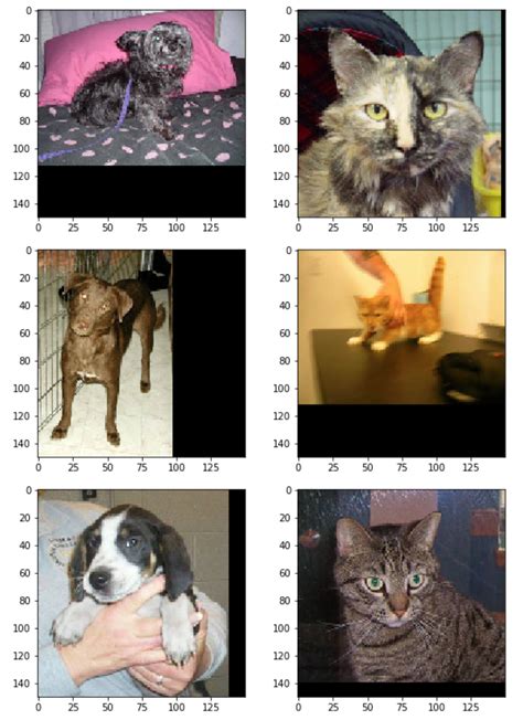 Kaggle猫狗大战手记 Moverzp的博客