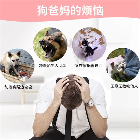 宠物狗嘴套狗狗防咬口罩防叫器乱吃中大型犬塑料狗嘴罩金毛止吠器虎窝淘