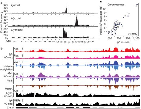 Characterization Of The Igh Myc And Mycn Interactomes In B