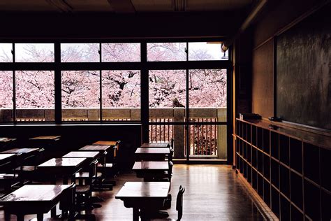 思い出の風景小学校の桜を訪ねて土浦市立真鍋小学校 家庭画報 com素敵な人のディレクトリ