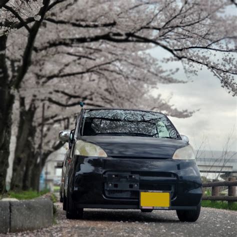 ライフの目指せpickupcars・桜とコラボ・サクラと愛車・低いようで低くない中途半端なクルマ・サスカッッットォォォォォ！！！に関する