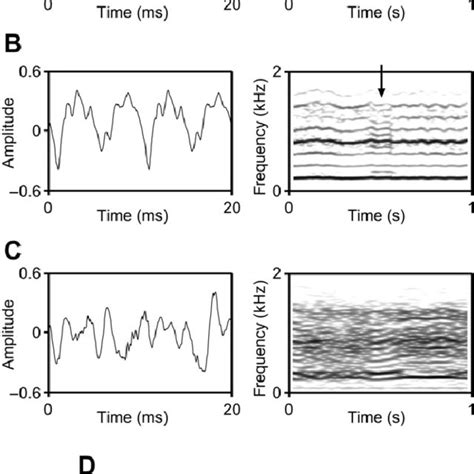Representative Waveforms And Narrowband Spectrograms Obtained During