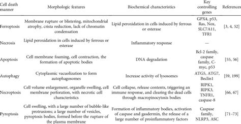 Comparison Of Characteristics Of Ferroptosis And Necrosis Apoptosis