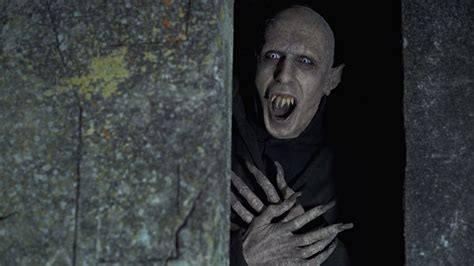 5 Zimmer Küche Sarg Kritik Film 2014 Moviebreakde