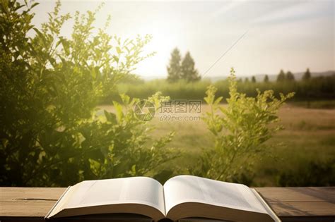 纸质的书本高清图片下载 正版图片600350416 摄图网