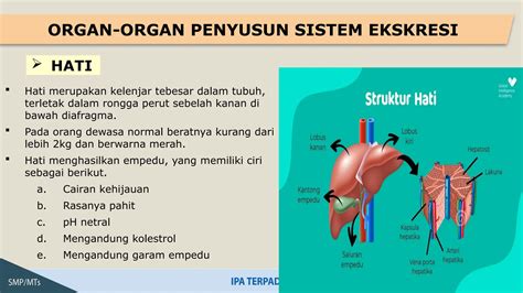 Sistem Ekskresi Ipa Kls Pptx Siswa Smp Ppt