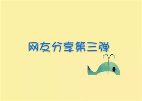 基于stm32f407搭建tcp服务器及tftp服务器 子傲代码魔法 小鑫的技术流水账