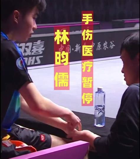 林昀儒赢马龙斩菲鲁斯，手痛难耐仍坚持比赛，被梁靖崑淘汰 哔哩哔哩