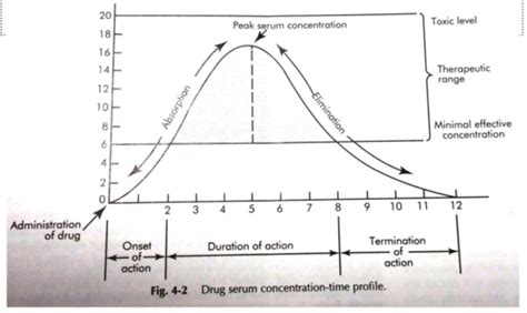 Pharmacodynamics Flashcards Quizlet