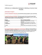 Cf Collaborative Strategies Template Docx COM200 Assignment 3