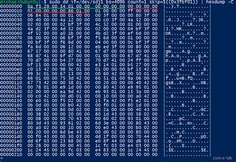 Ext4文件系统解析 Csdn博客