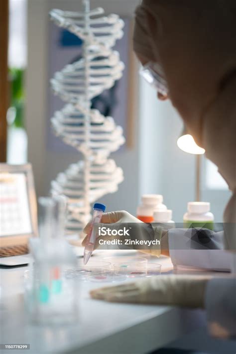 여성 화학자는 화학 제품의 새로운 표본을 공부 하는 안경을 착용 이슬람교에 대한 스톡 사진 및 기타 이미지 이슬람교 한 명의 여자만 Dna Istock