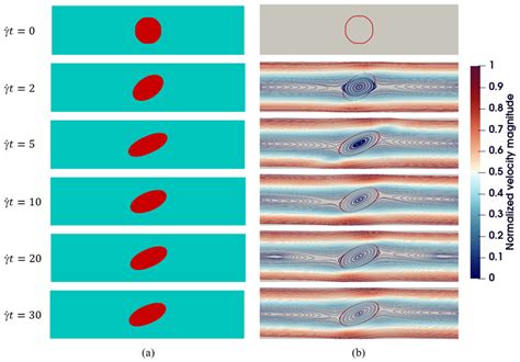 a typical evolution of deformation for an initially circular 2d droplet