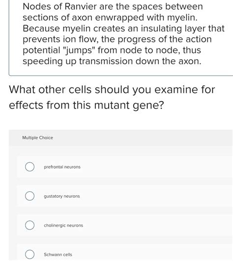 Solved Nodes Of Ranvier Are The Spaces Between Sections Of