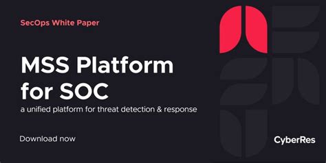 See What The Key Benefits Are To Our New Cyberres Managed Security