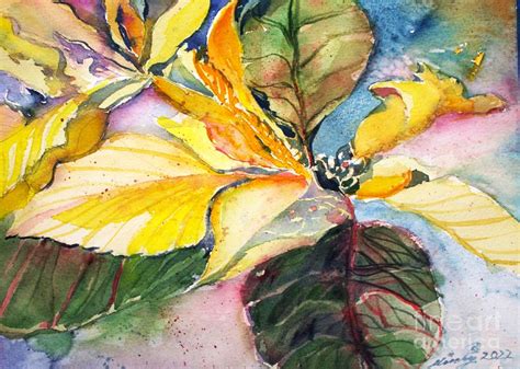 Sunny Poinsettia Painting By Mindy Newman Fine Art America
