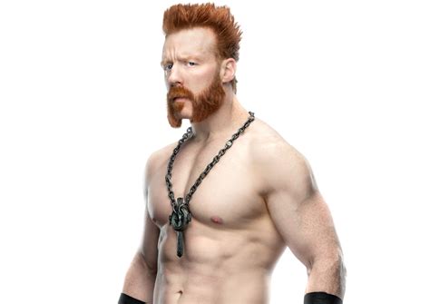 Sheamus Officialwwe Wiki Fandom Powered By Wikia
