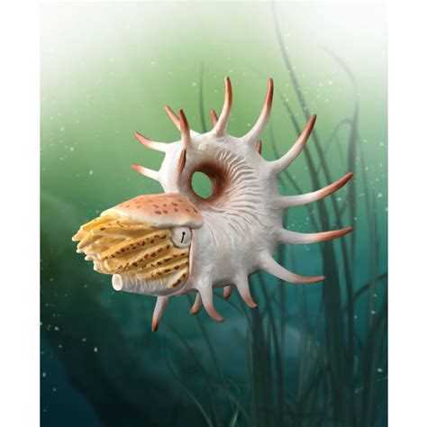Collecta Prehistoric Life Cooperoceras
