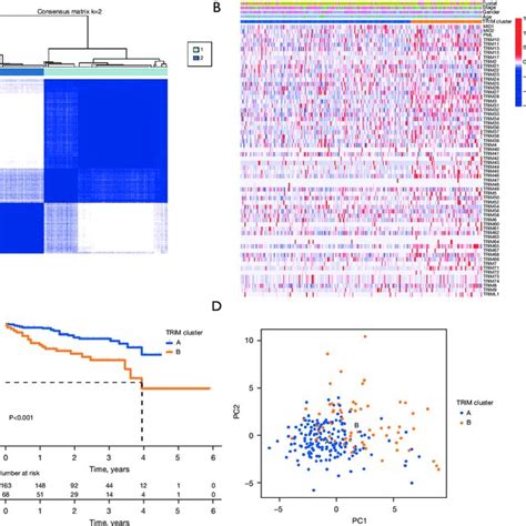 Differential Clinicopathological Features And Survival Of HCC In