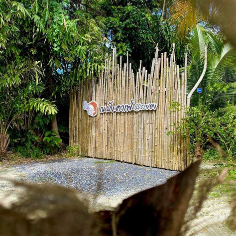 💓 แบ่งปัน ใบงานภาพระบายสี 💓 3 สื่อการสอน By ครูแนน Facebook