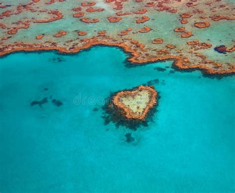 Heart Reef In The Whitsundays Queensland Australia Famous Reef That Is